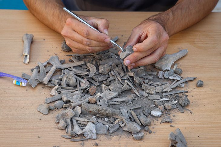 Ayanis Kalesi'nde ilk kez Urartulara ait çöplük alanı ortaya çıkarıldı ...